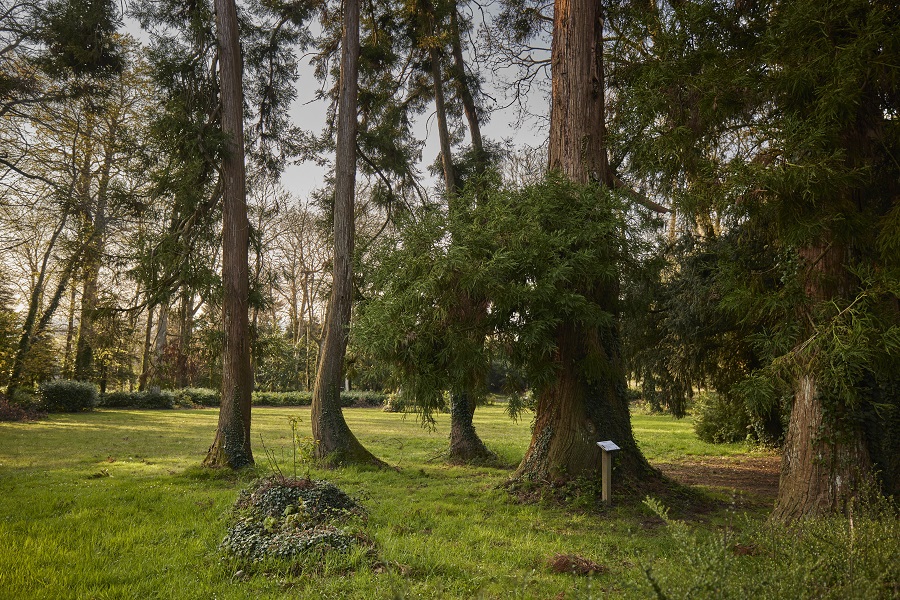Bazouges-la-Pérouse, petite cité de caractère - Office de Tourisme
