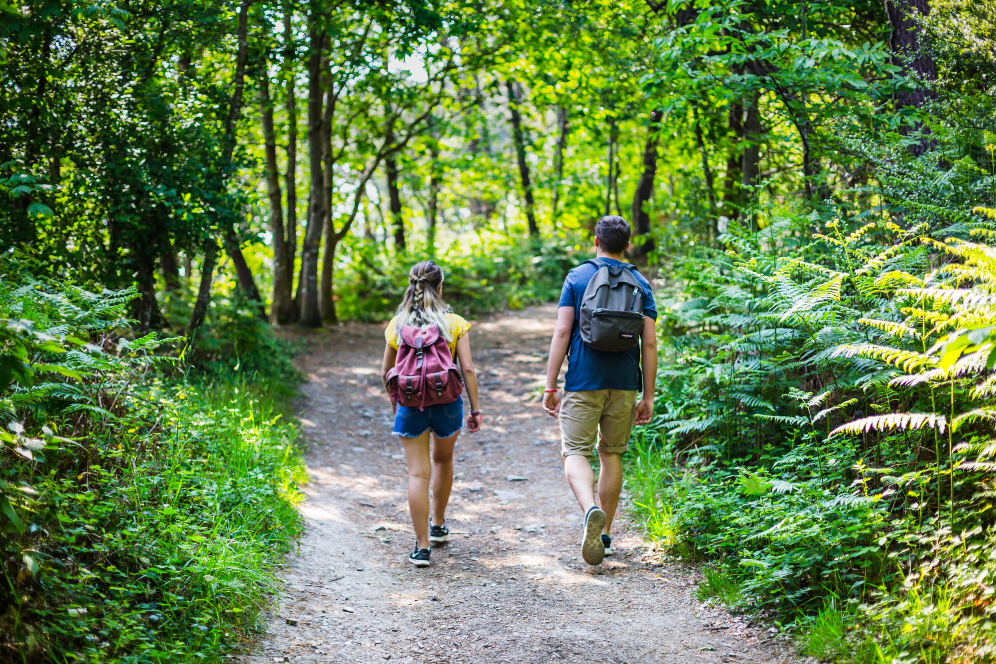 Randonnées pédestres - Office de tourisme Couesnon Marches de Bretagne