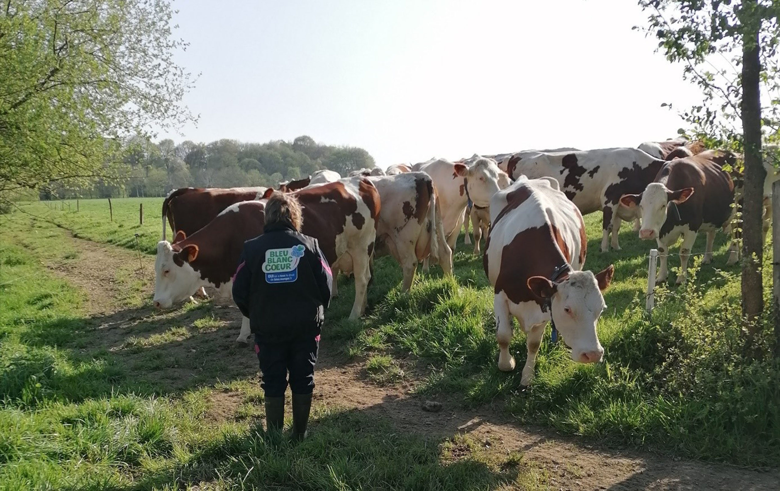 La Ferme Lait Gaillardises - Office de tourisme Couesnon Marches de ...